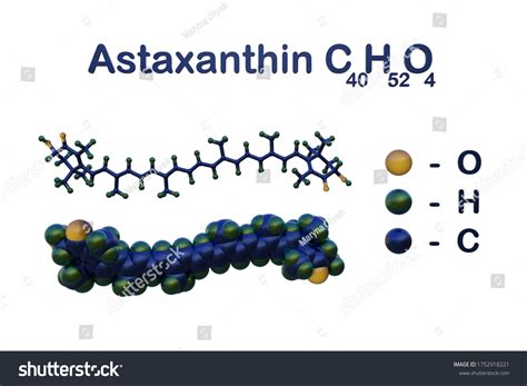 Structural Chemical Formula Molecular Models Astaxanthin Hình Minh Họa