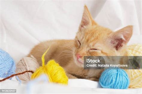 귀여운 생강 고양이와 흰색 침대 린넨의 배경에 실의 다른 색깔의 공 가정의 방에 대한 스톡 사진 및 기타 이미지 가정의 방 고양이 새끼 고양잇과 Istock