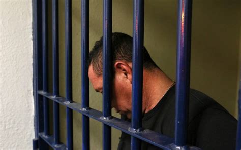 Investigar para detener no al revés especialista sobre eliminar la