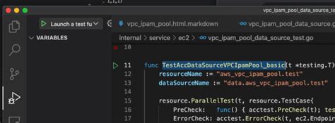 vscode terraform provider development setup debugging dev community
