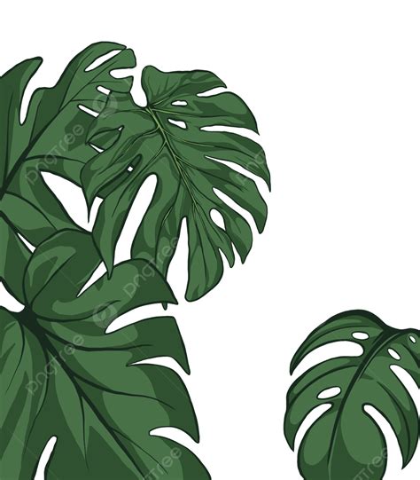 Hoja Verde PNG Verde Hoja Ilustración PNG y PSD para Descargar