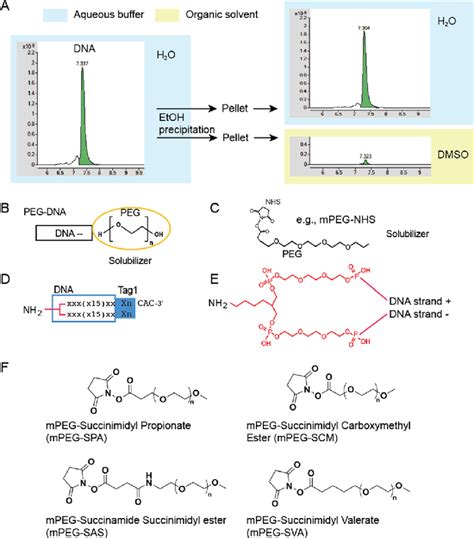 Dna Solubility In Water A Pellets Of Dna Can Be Resuspended Back In