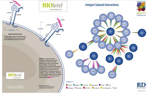 BME Lecture Diagram Quizlet