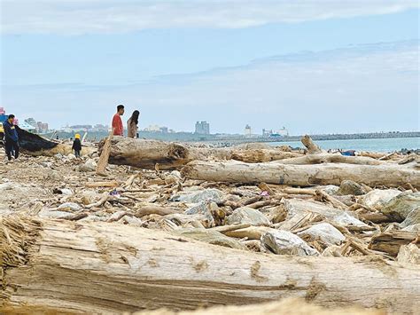 花蓮 走春景點多 海邊撿漂流木夯 地方新聞 中國時報