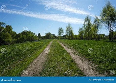 Grass Path With Spring Sky With Clouds Stock Image Image Of