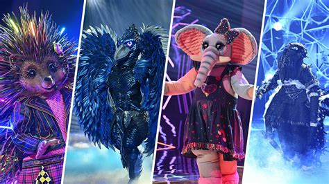 The Masked Singer Geheimnis Um Den Gewinner Enthüllt Intouch