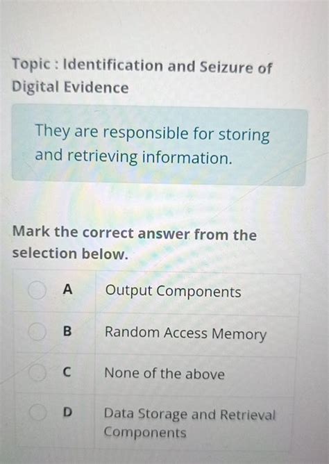 They Are Responsible For Storing And StudyX