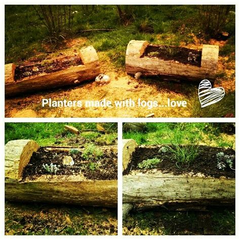 Log Planters My Husband Made Me Had To Share I Am Pretty Proud Of Them