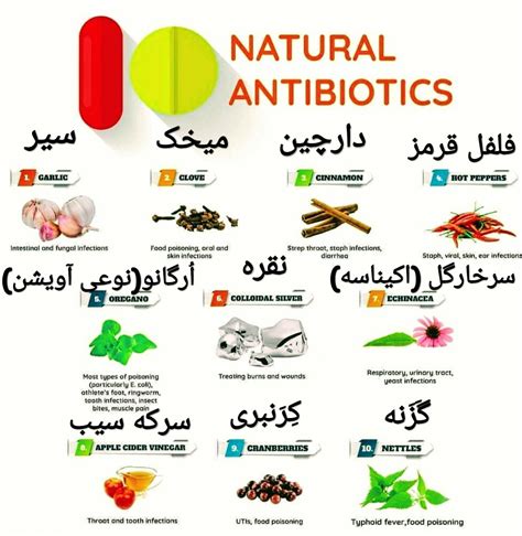 آنتی بیوتیک های طبیعی ⁦⚕️⁩🔬 طرفداری
