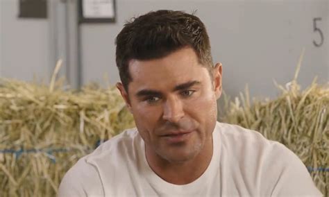 Plastic Surgeon Reveals Zac Efrons Suspected Plastic Surgeries