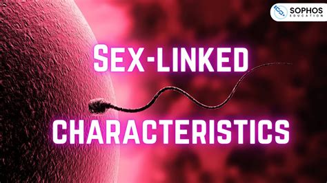 edexcel only higher sex linked characteristics youtube