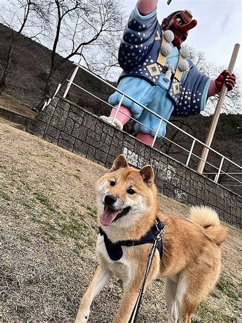 クイズ どでかい天狗のいる温泉街の公園