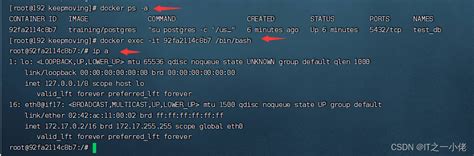 Docker中网络的使用和配置用法详解docker路由配置 Csdn博客