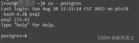 阿里云ecs服务器安装postgresql 阿里云服务器安装postgresql csdn博客