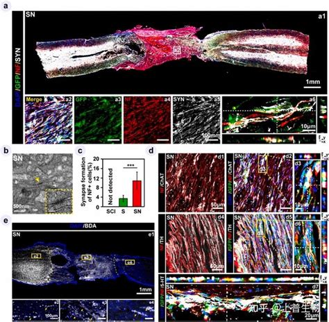 Bioactive Materials D