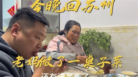 飞哥晚上回苏州老妈做了一桌子菜，老爸给菲菲买了医疗保险，还准备很多东西给我带走我的乡村生活【奶茶菲吖】 Youtube