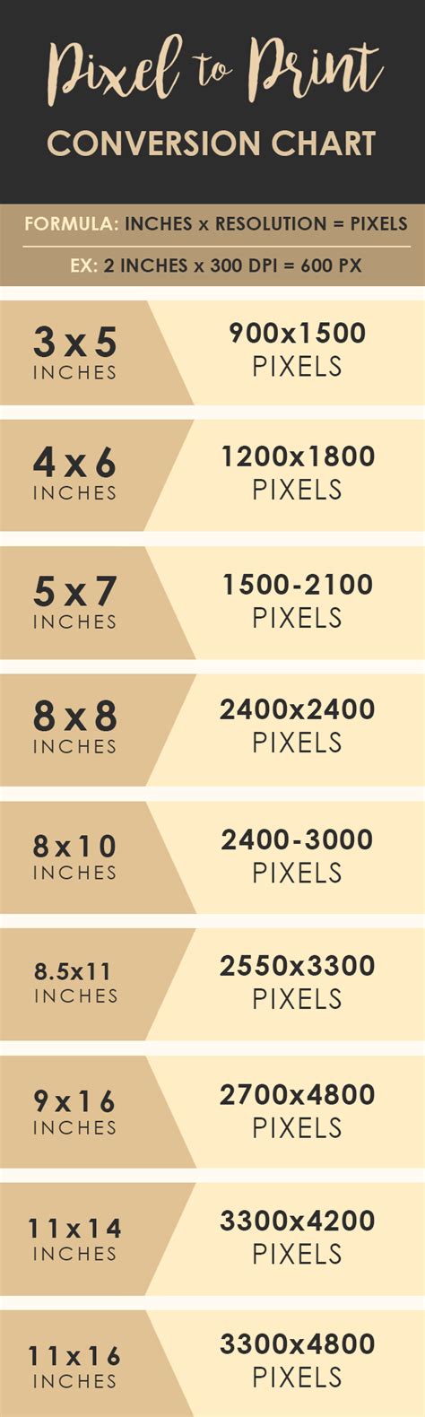 Pixel Conversion Infographic South Street Co