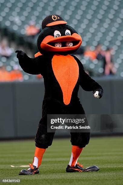 Oriole Bird Mascot Photos And Premium High Res Pictures Getty Images