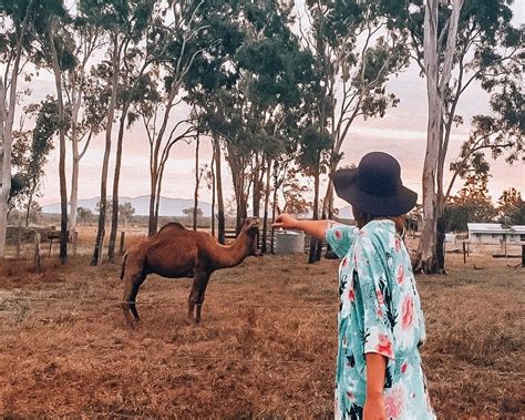 Maxime Moved To Australia Over 5 Years Ago To Learn English And Live