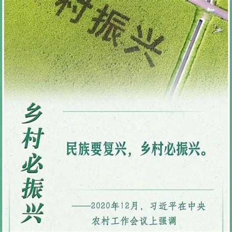 看图学习 跟总书记共绘乡村振兴壮美画卷建设靖边县单位