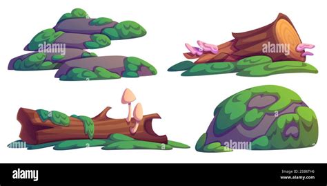 Swamp Environment Set With Mossy Logs Grey Stones Covered In Green Vegetation Pink Mushrooms Swamp Environment Set With Mossy Logs Grey Stones Covered In Green Vegetation Pink Mushrooms