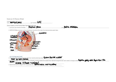 HW 11 Homework BIO 2430 Studocu