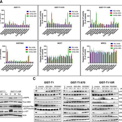 Active Mapk And Pi3k Signaling In Gist Cell Lines Despite Kit