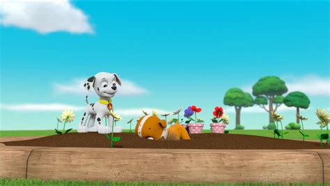 Marshall Gallery Pups Save The Runaway Kitties Paw Patrol Wiki Fandom