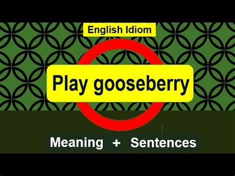 English Idiom Play Gooseberry Meaning | Idioms with Example Sentences | Meaning of Play ...