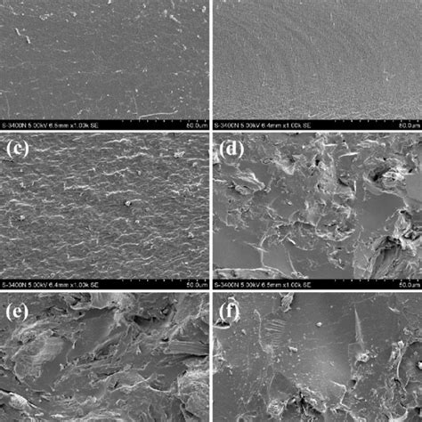 Sem Micrographs Of The Fracture Surface Of Spi Based Films A Spi Download Scientific Diagram