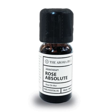 Rose Absolute Essential Oil The Aroma Hub