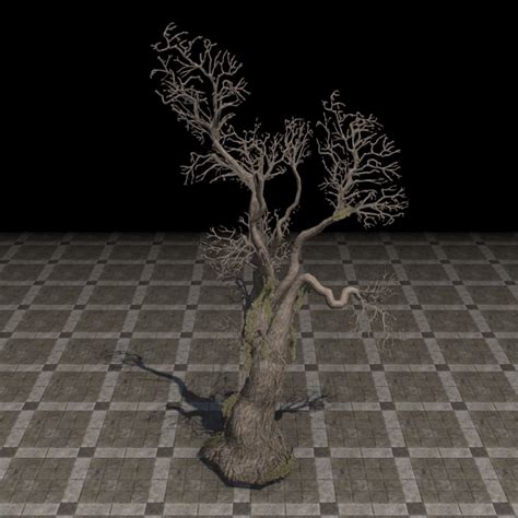 Online Tree Old Dead Oak The Unofficial Elder Scrolls Pages Uesp