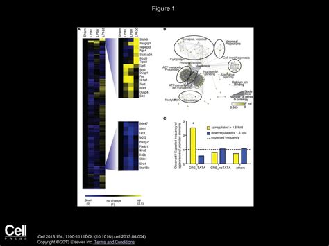The Crtc1 Sik1 Pathway Regulates Entrainment Of The Circadian Clock