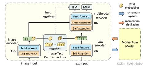 多模态论文串讲笔记mask Data Modeling Csdn博客