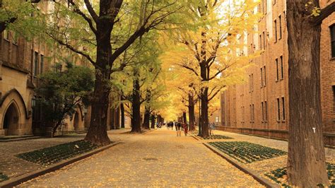 世界大学ランキング 東大は順位1つアップで28位、京大は55位