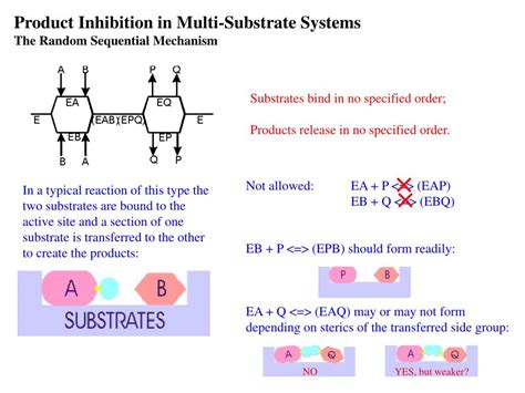 Ppt Multi Substrate Enzyme Kinetics Powerpoint Presentation Free