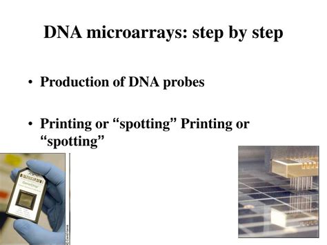 PPT Introduction To Gene Expression Microarray Technology