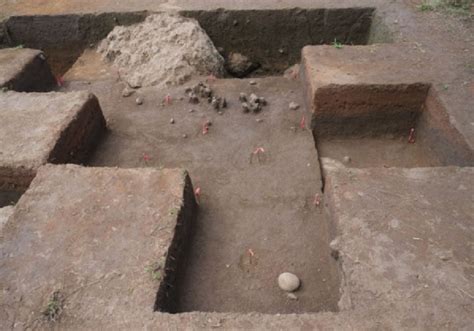 Hearth Feature Dating From 6000 Bp Associated With An Ade Amazon