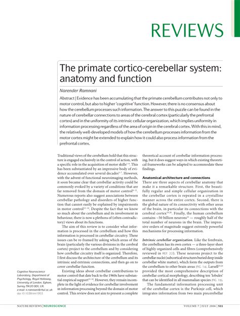 Pdf The Primate Cortico Cerebellar System Anatomy And Function