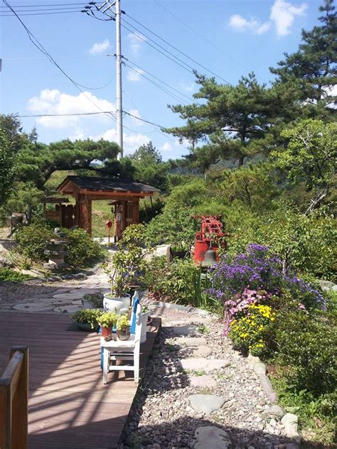 겨울정원 The Winter Gardens 물을 좋아하는 관목들 Water Loving Shrubs 흰말채나무나 버드