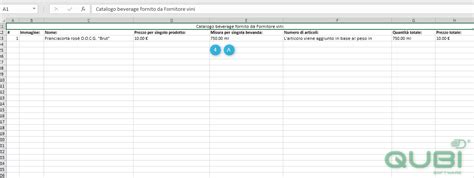 Come Inserire I Fornitori Su Qubì Software Qubì Tutorial