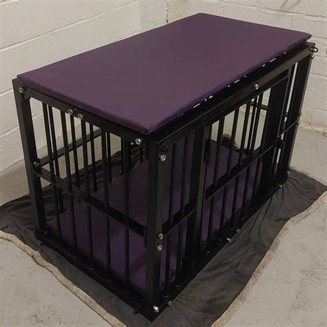 Punishment Cage Etsy Uk