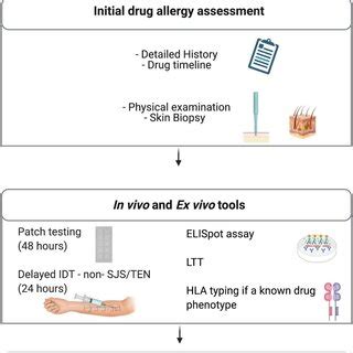 Diagnostic Management ELISpot Enzyme Linked ImmunoSpot HLA Human