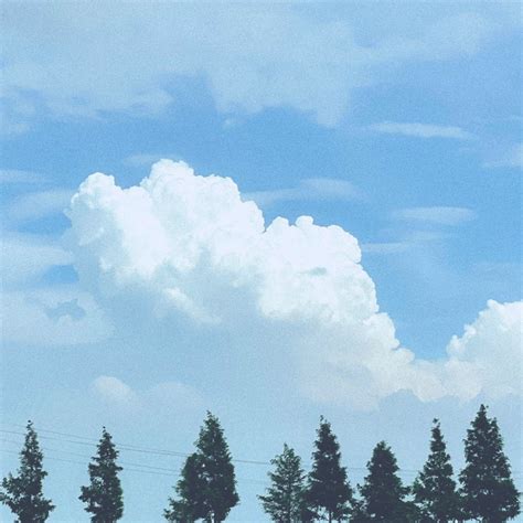 감동적인·조회수 777만회 Youtube