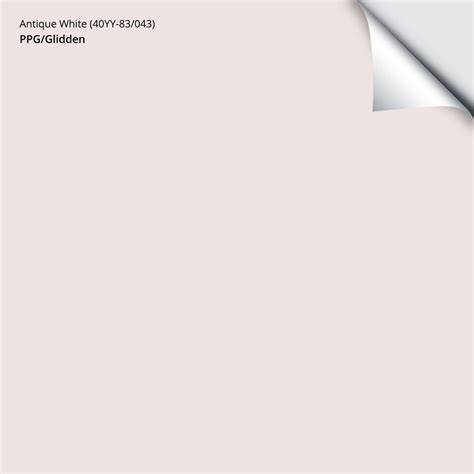 Samplize Match Of PPG Glidden Antique White 40YY 83 043 12 In X 12