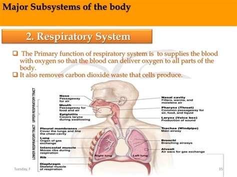 Biomedical Ppt All Ppt