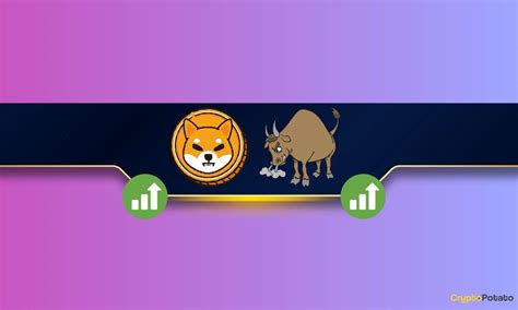 Critical Shiba Inu Metric Spikes By 50 Amid SHIB Price Rally Details