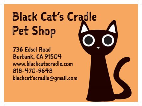 Black Cats Cradle Branding On Behance