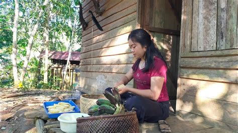 Ketika Pria Suku Dayak Melayani Gadis Dayak Di Pondok Hutan Youtube