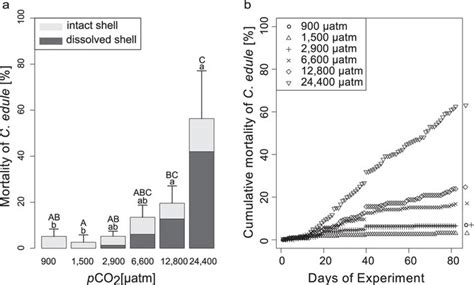 Bars Showing C Edule Mortality Over The Entire Experimental Duration Download Scientific